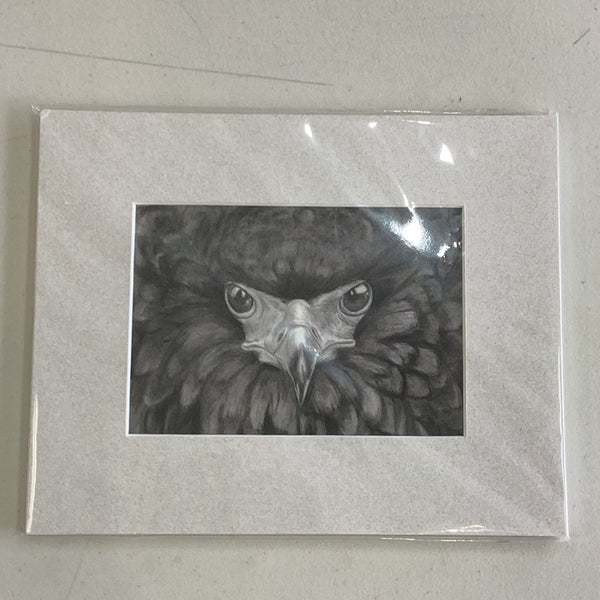 Matted Print - Bateleur Eagle - Blue Moose Art Gallery