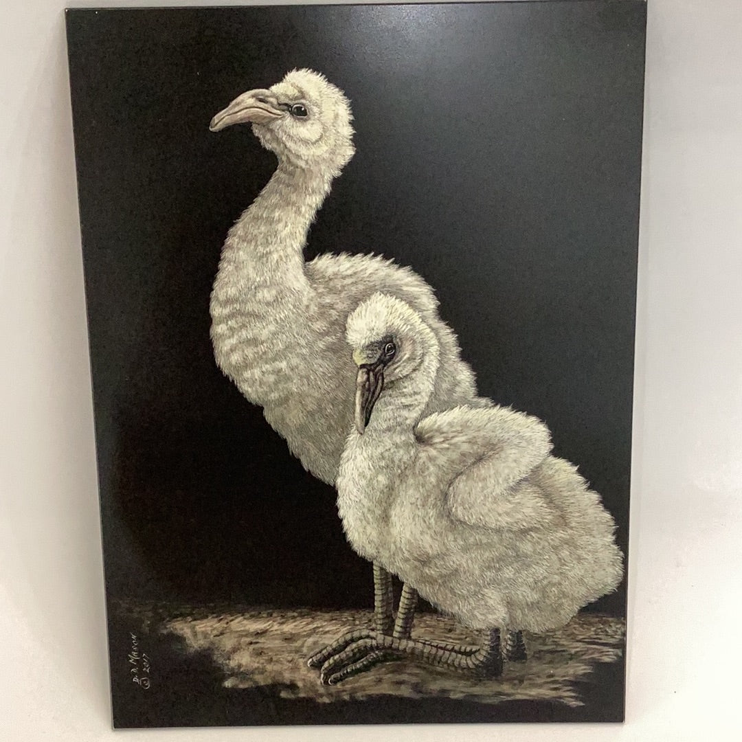 DIANE MASON, bronze sculpture, scratchboard, at the Blue Moose Art Gal ...