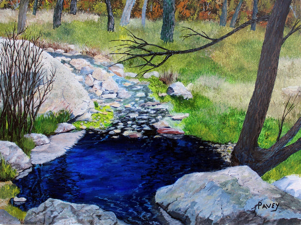 A Quiet Place, Scene #1 - Blue Moose Art Gallery