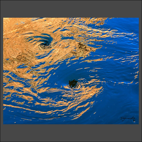 STEVE GANDY, photographer - Blue Moose Art Gallery