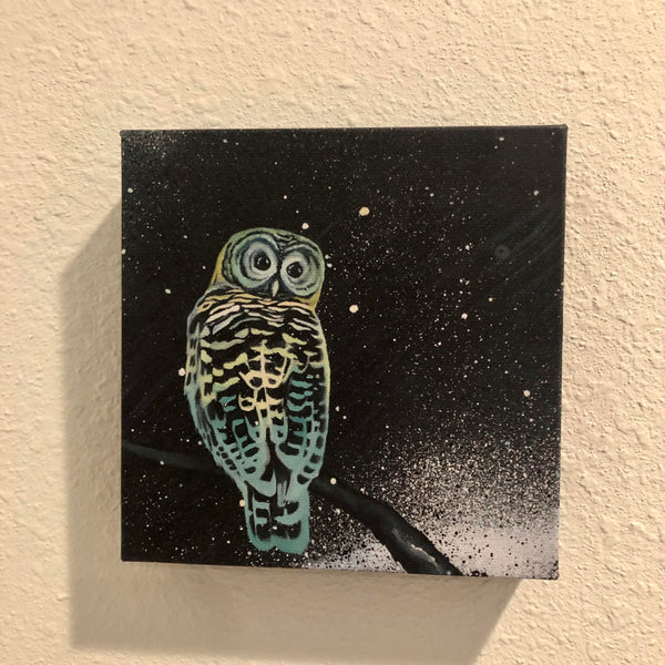 Celestial Barred Owl - Blue Moose Art Gallery