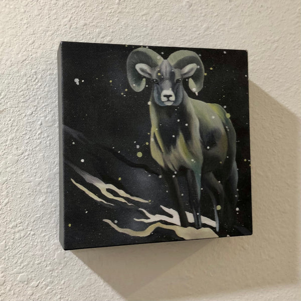 Celestial Ram 6x6 - Blue Moose Art Gallery
