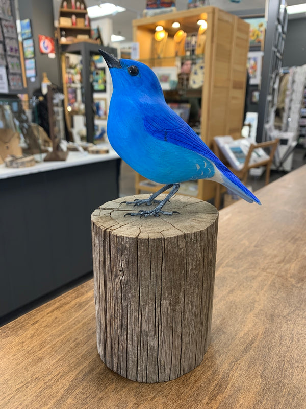 Mountain Blue Bird - Blue Moose Art Gallery
